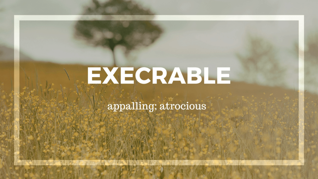 20 Beautiful Spanish Words to Add to Your Vocabulary